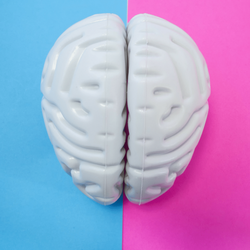 Busting Brain Myths - The Best Brain Possible