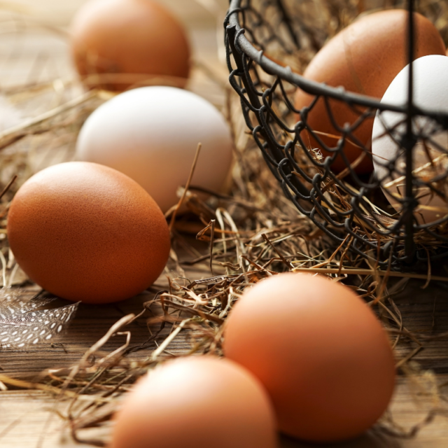 10 Genius Foods to Optimize, Power and Protect Your Brain - The Best ...