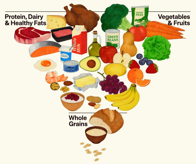 The New Food Pyramid Is Still Risky for Brain Health - The Best Brain ...